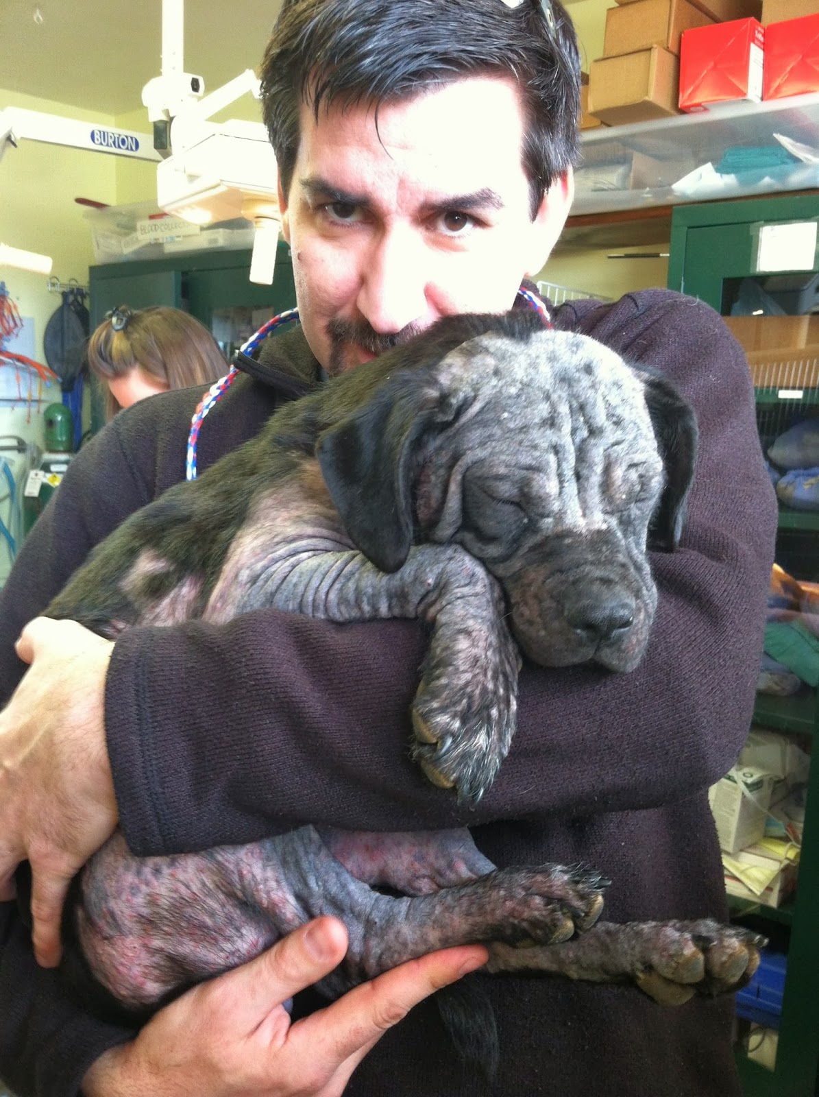 Diary of a Real-Life Veterinarian: Demodex, The Bug That Digs Deep.