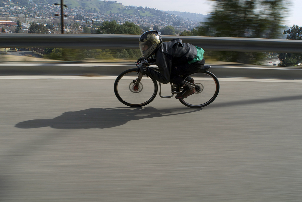 Monkey Likes Shiny: #1 and Proud