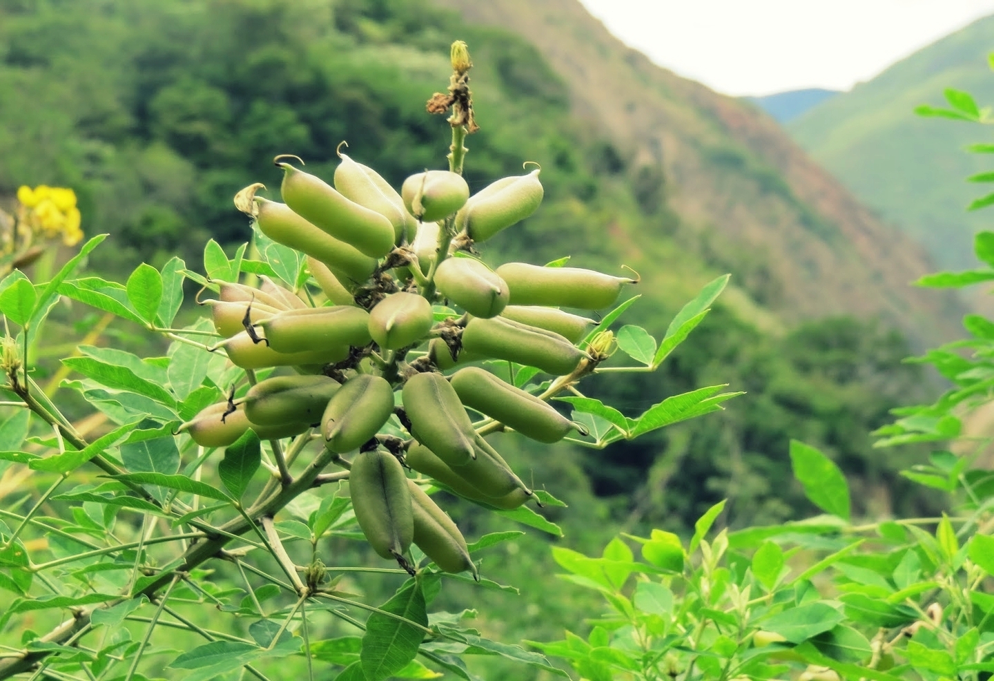 Recomendaciones para viajar a la selva peruana | El Blog del Viajero