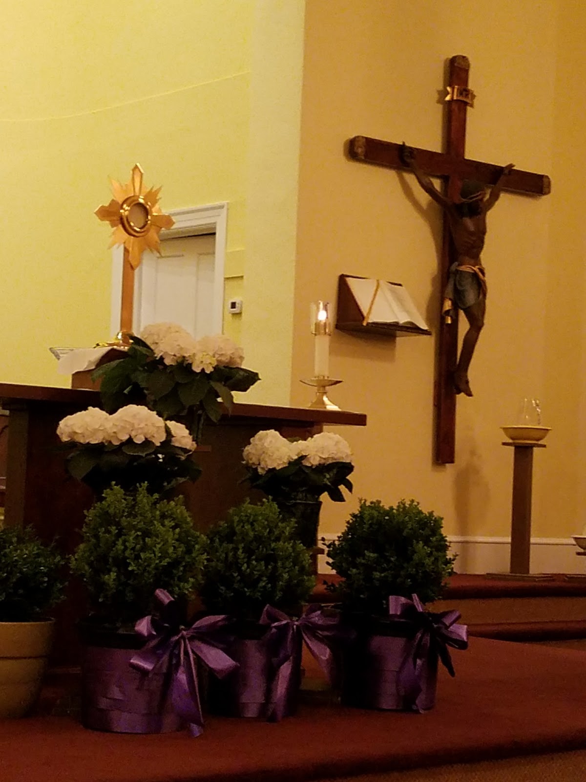 St Elizabeth Catholic Church Blog Holy Week 2017 Holy Thursday Foot Washing ~ Photos By