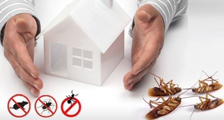 Real Pest Control: Apartment Living: How To Get the Pest Control Done?