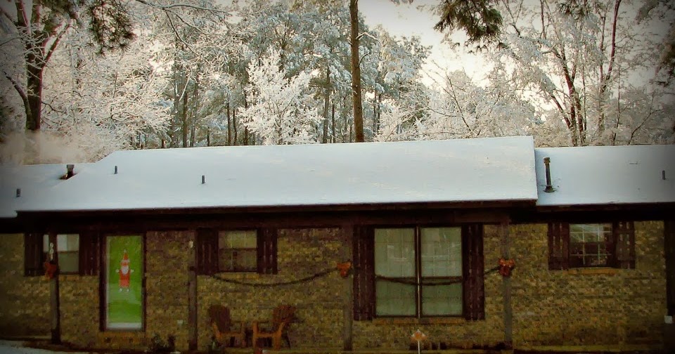 Look At What You Are Seeing: Welcome To Our Farm