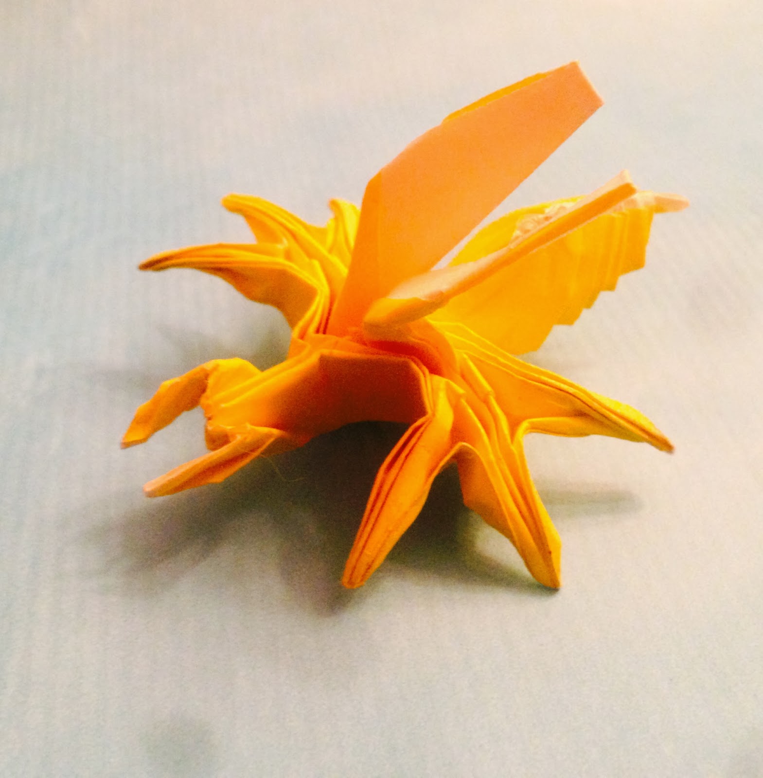 Origami 's shadow: AVISPA. WASP