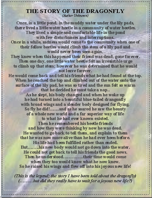 May Our Words Always Mingle: The Legand of the Dragonfly