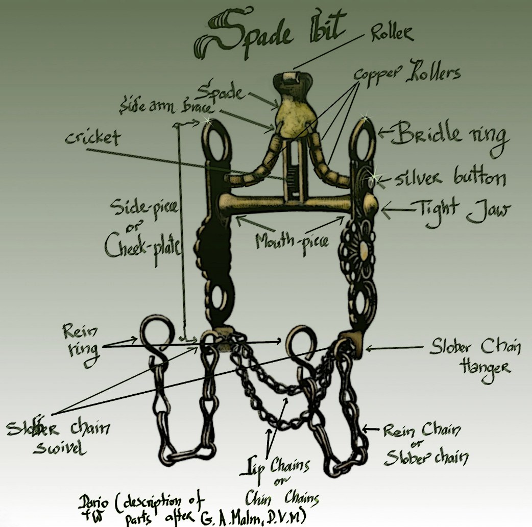 Are Spade Bits Cruel at Sebastian Queale blog