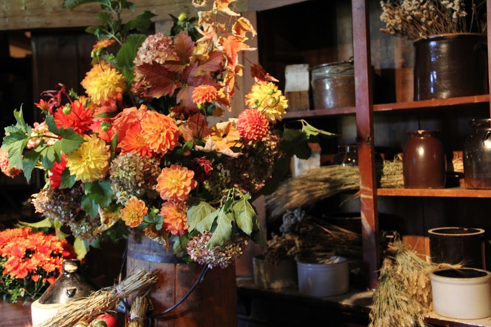 bonesoflife: Hurd Orchard, Holley, NY ... pure joy!