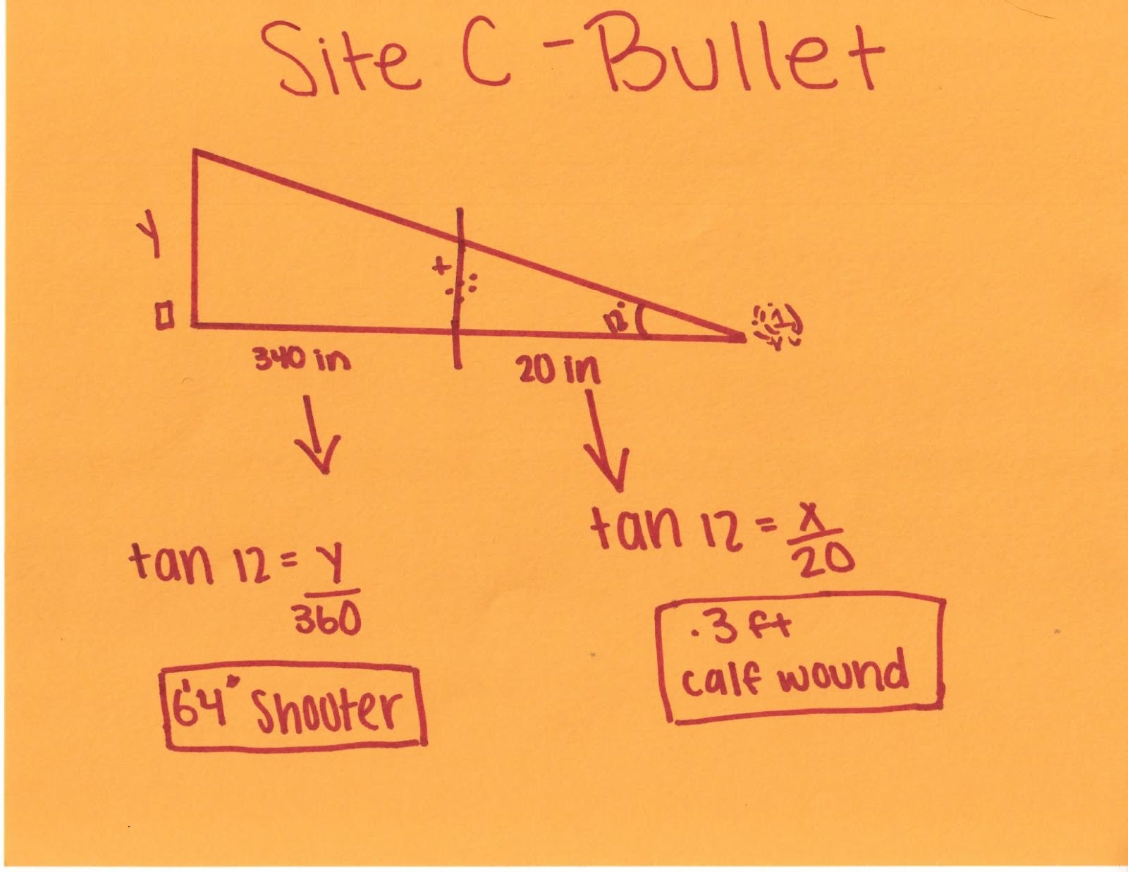 Ms. Wood @ RBV: Common Core Criminology