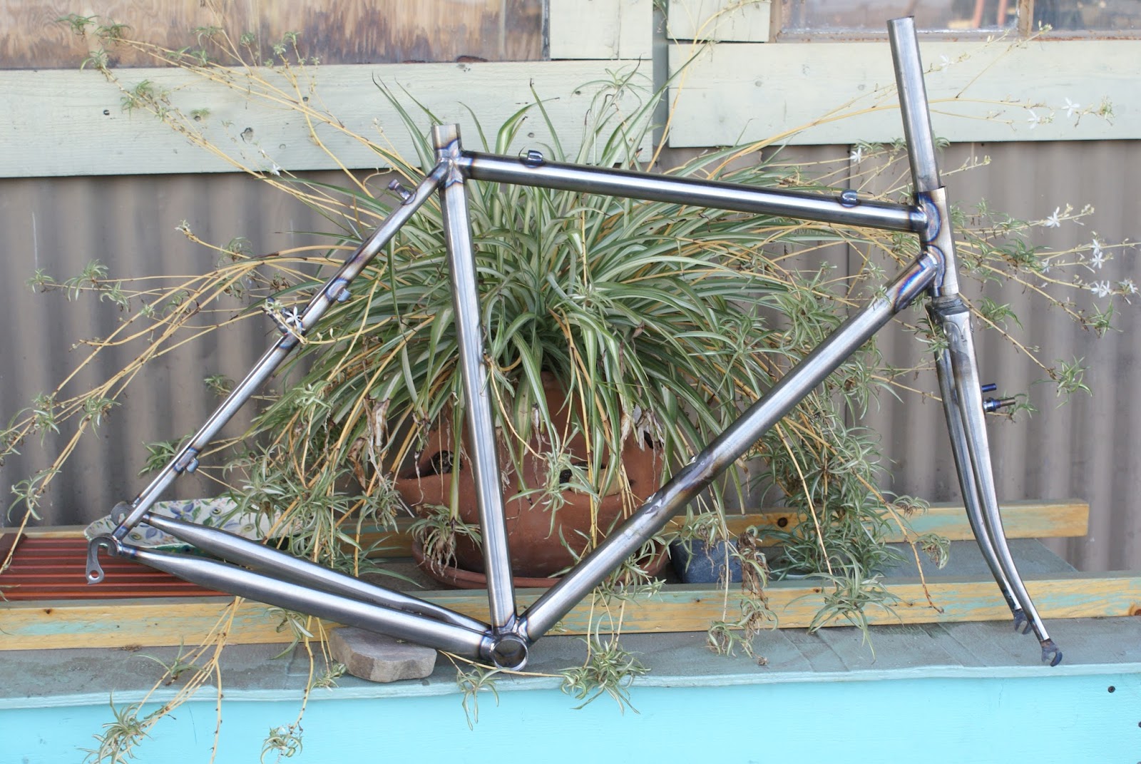 what's up in Santa Cruz: Steel CX frame for pacific northwest