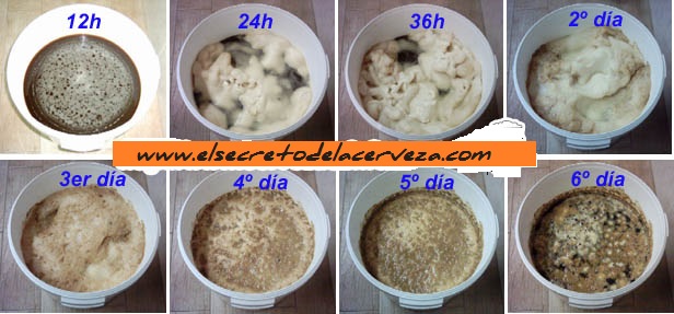 El Secreto de la Cerveza: ELABORACIÓN CASERA CERVEZA 7- Fermentación ...