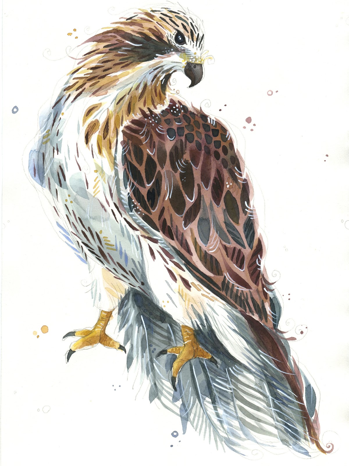 The Art of Michelle: 12 Bird Challenge: Red Tailed Hawk