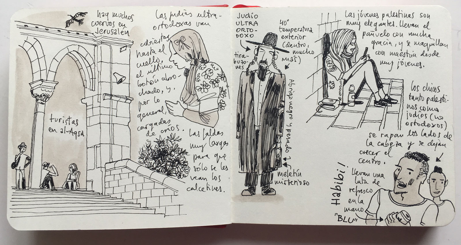Dibujos Y Otras Cosas De Joaquín López Cruces