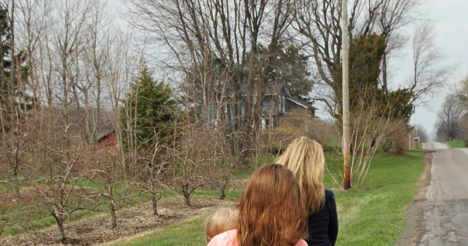 Lookin' Up: Orchard Walk