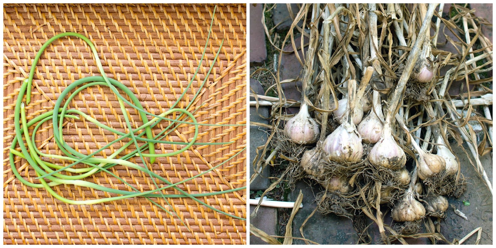 Savoring Time in the Kitchen: Grilled Halibut and Kale Pesto Pasta.