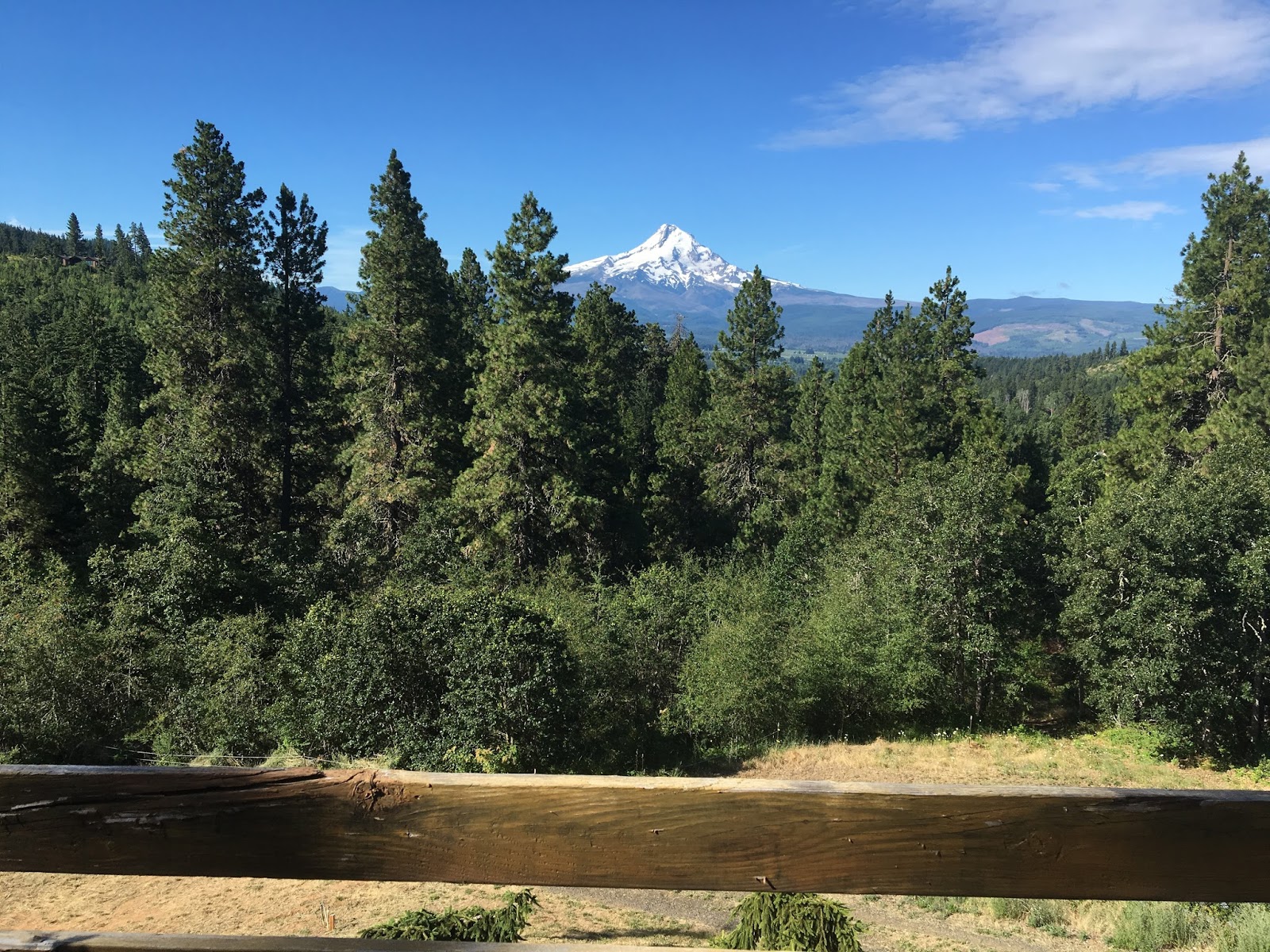 Rowan's Story: "God's Masterpiece"