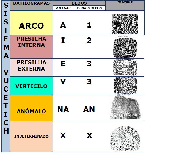 PROFESSORA LÍLIAN BESSA: CONCURSO DETRAN: SISTEMA VUCETICH - ASSISTENTE ...