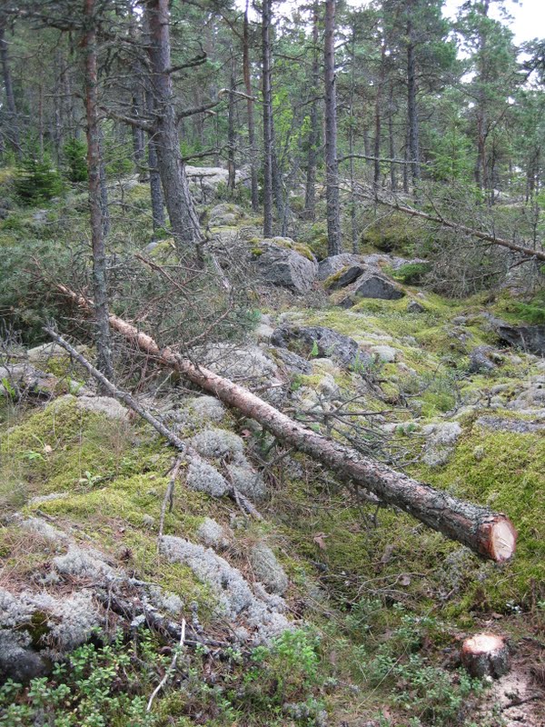 Mökkeilyä: Terassin teko 30.-31.7.