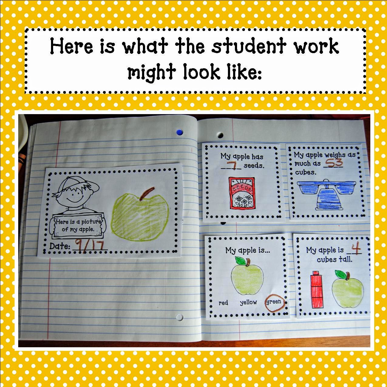 Teaching, Learning, & Loving: September 2014