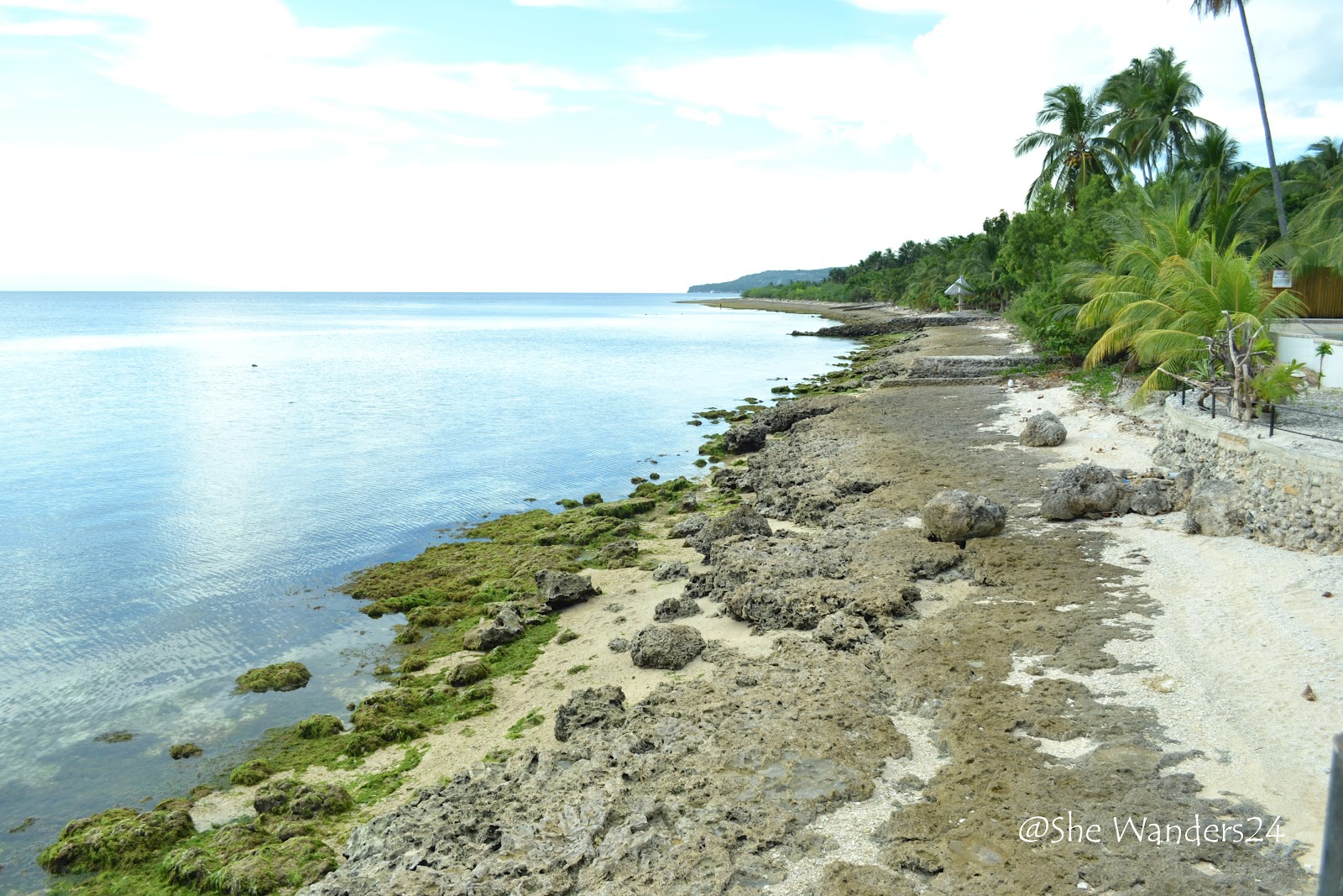 The Bonga-Villa Liloan Beach Resort ~ She Wanders24