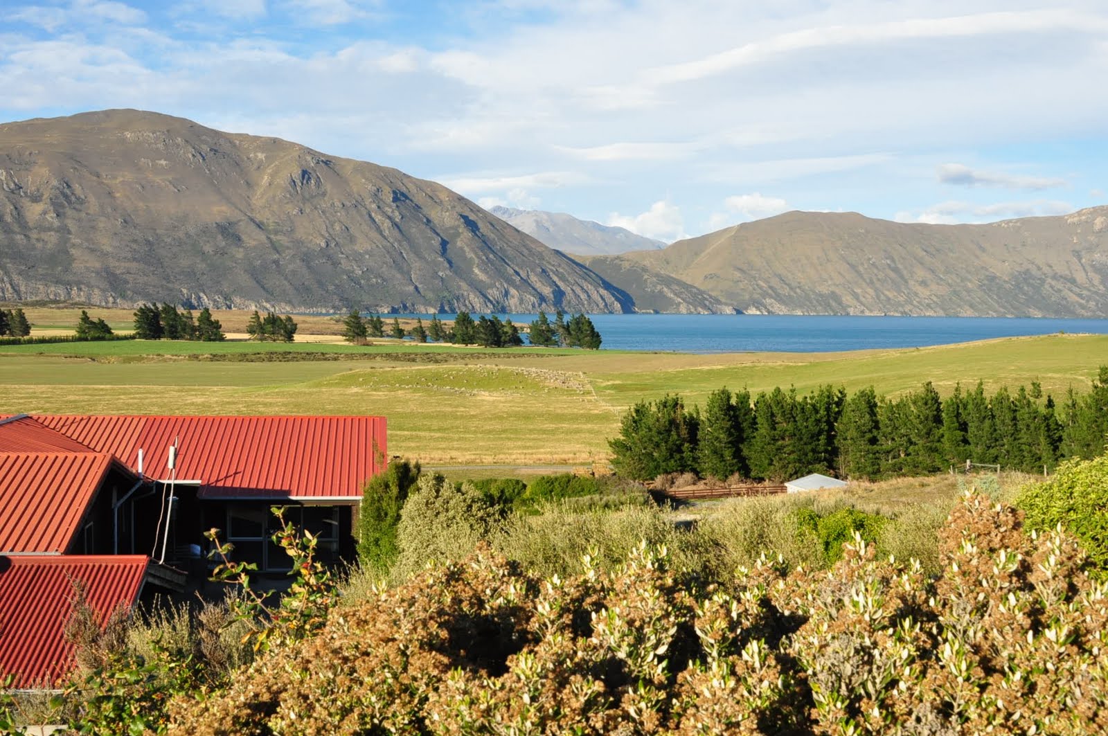 Be The Moment: Mountain Biking Woes and Triumphs Discovered in New Zealand