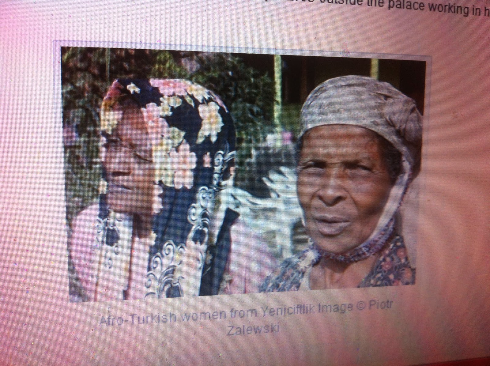 THE BLACK SOCIAL HISTORY:: BLACK SOCIAL HISTORY : AFRO-TURKS , HOW THE ...