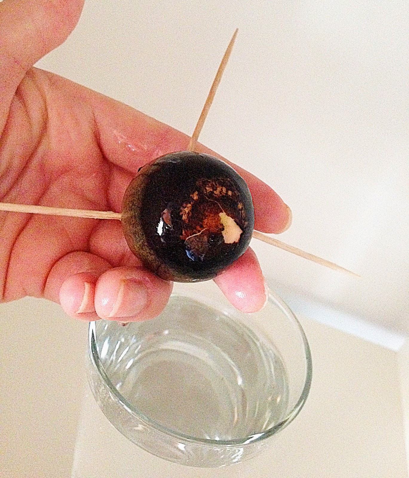 Daughter Of Pearl: How To Grow An Avocado Tree From Seed