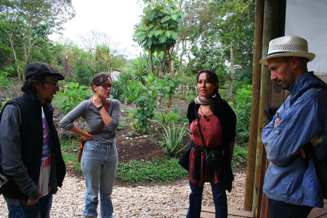 Dialogos entre Creatividad Humana y Naturaleza: IMÁGENES