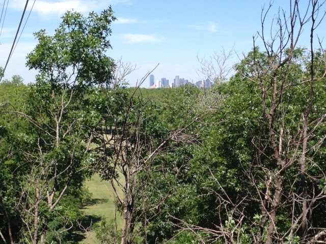 Metroplexing: Ever Heard of the Great Trinity Forest?