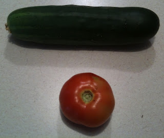 Mind - Body Thoughts: Earthbox Vegetables Are The Best