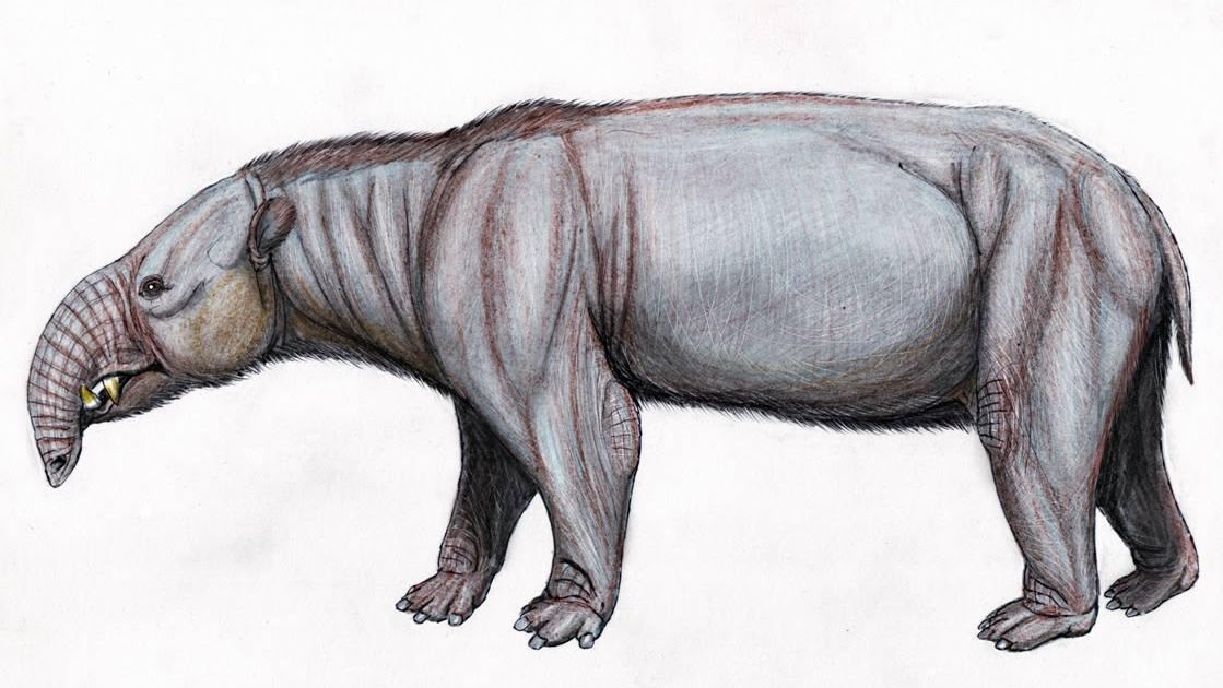 Escenarios prehistóricos: Astrapotherium