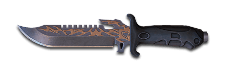 Talwar image | PicaArt