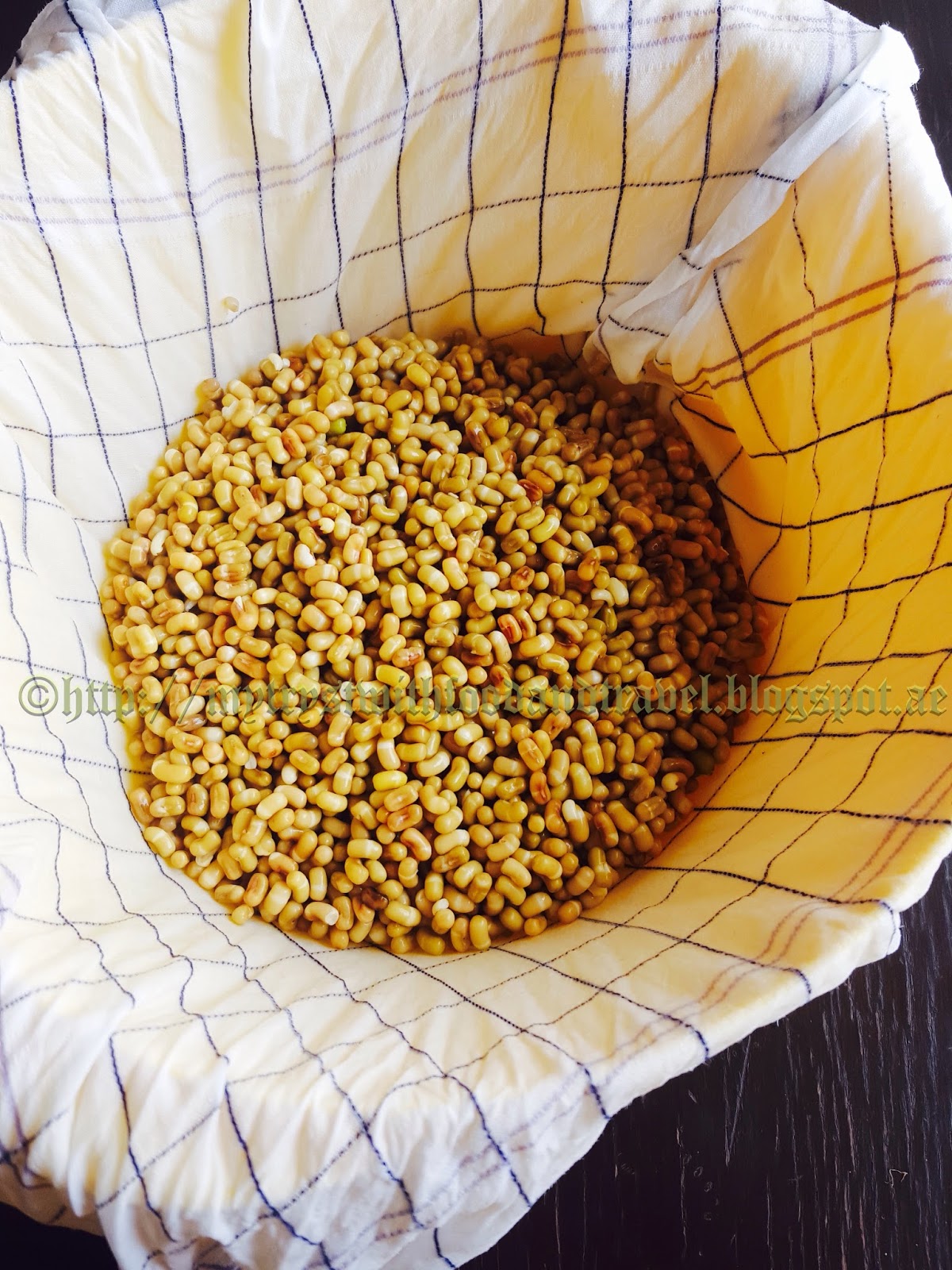 My Tryst With Food And Travel: Matki Chi Usal Recipe / Moth Bean ...