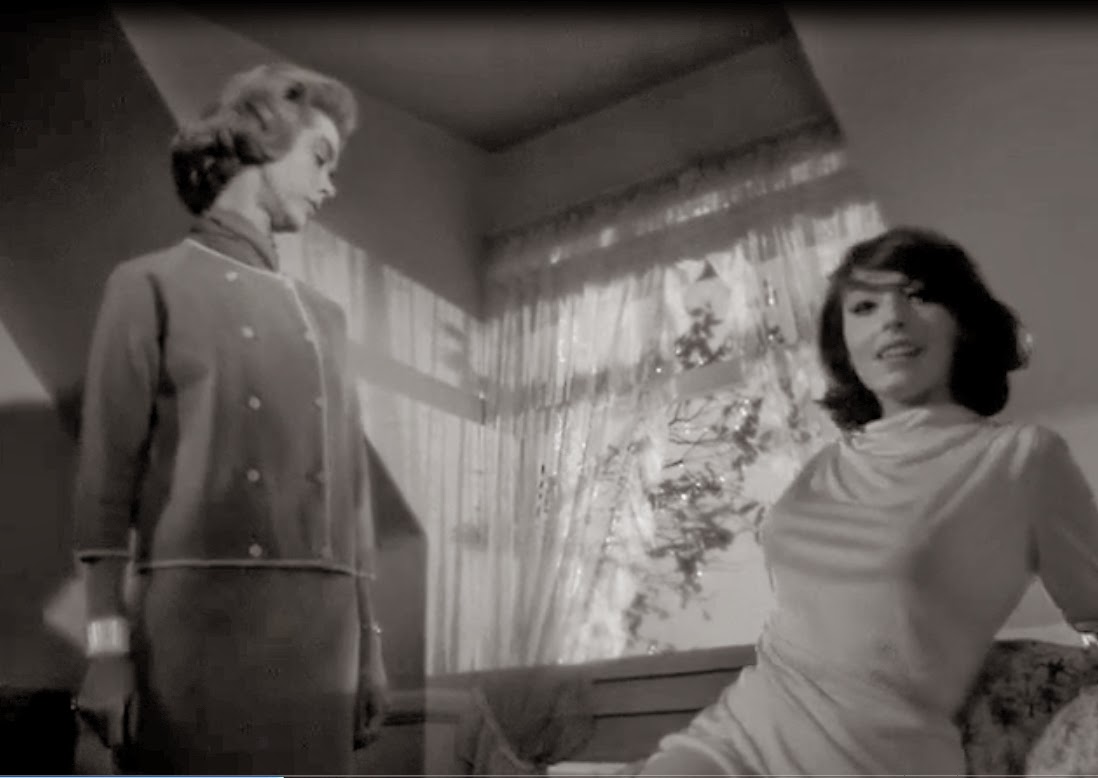 Talking Bees, A Killer Moon Plant and Curvy Ladies: A Fun Day with The ...