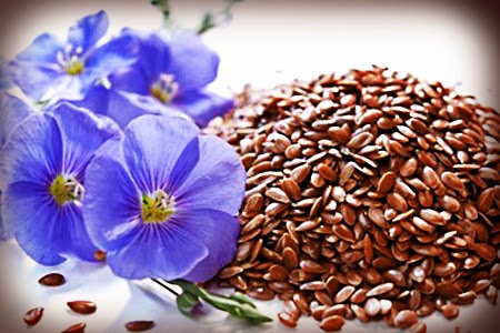 Hablemos de la linaza ~ Viviangilro