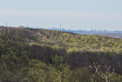 Harriman Hiker: Harriman State Park and Beyond: Buttermilk Falls and ...