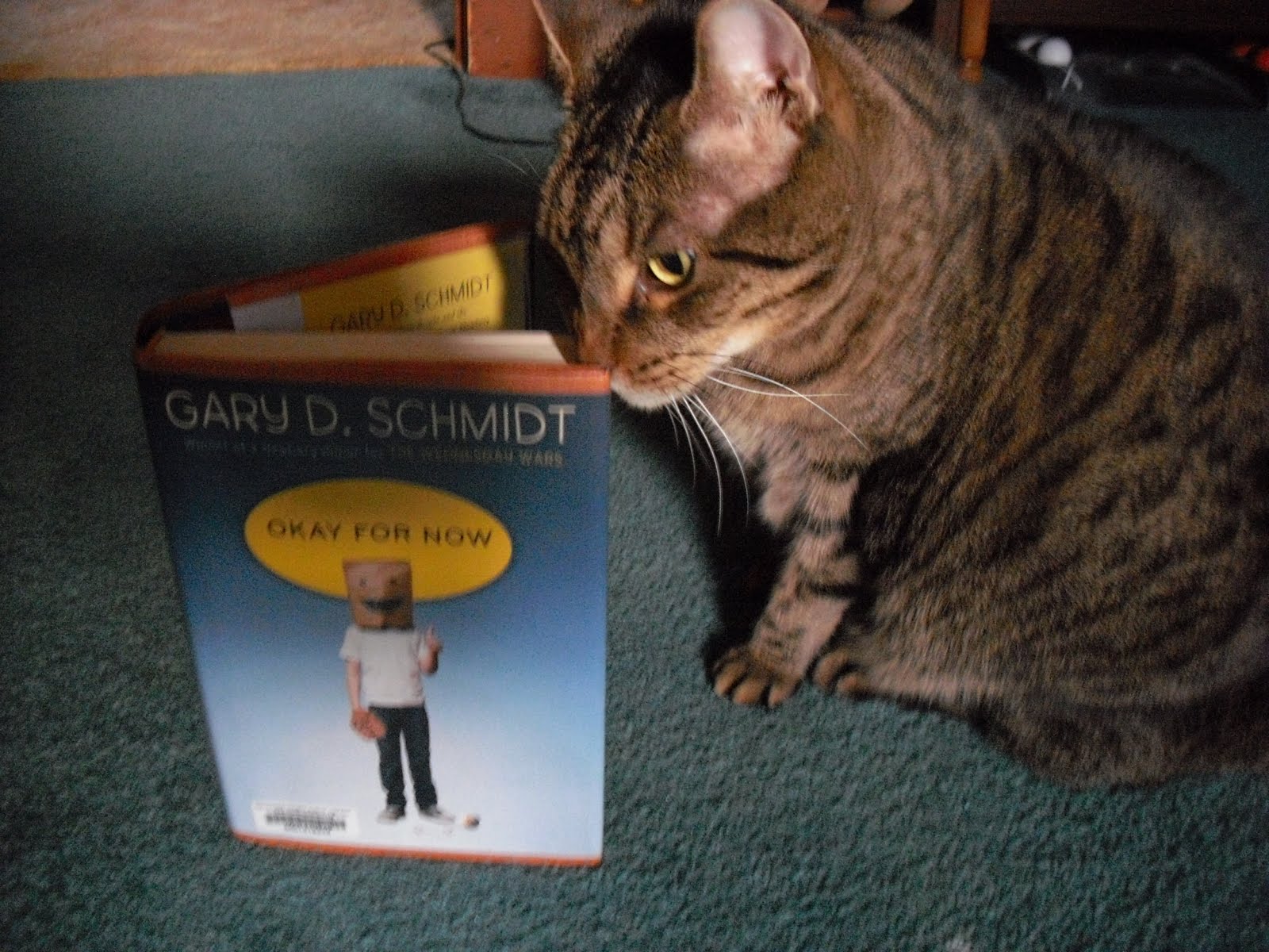 Grab A Book From Our Stack: "Okay For Now" by Gary D. Schmidt