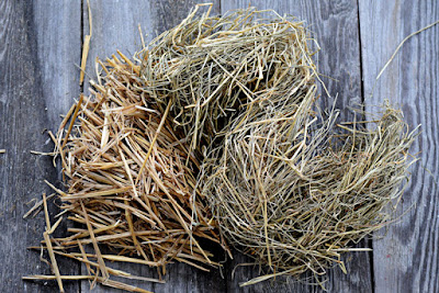 This Farm Family's Life: Hay or Straw...What's the Difference?