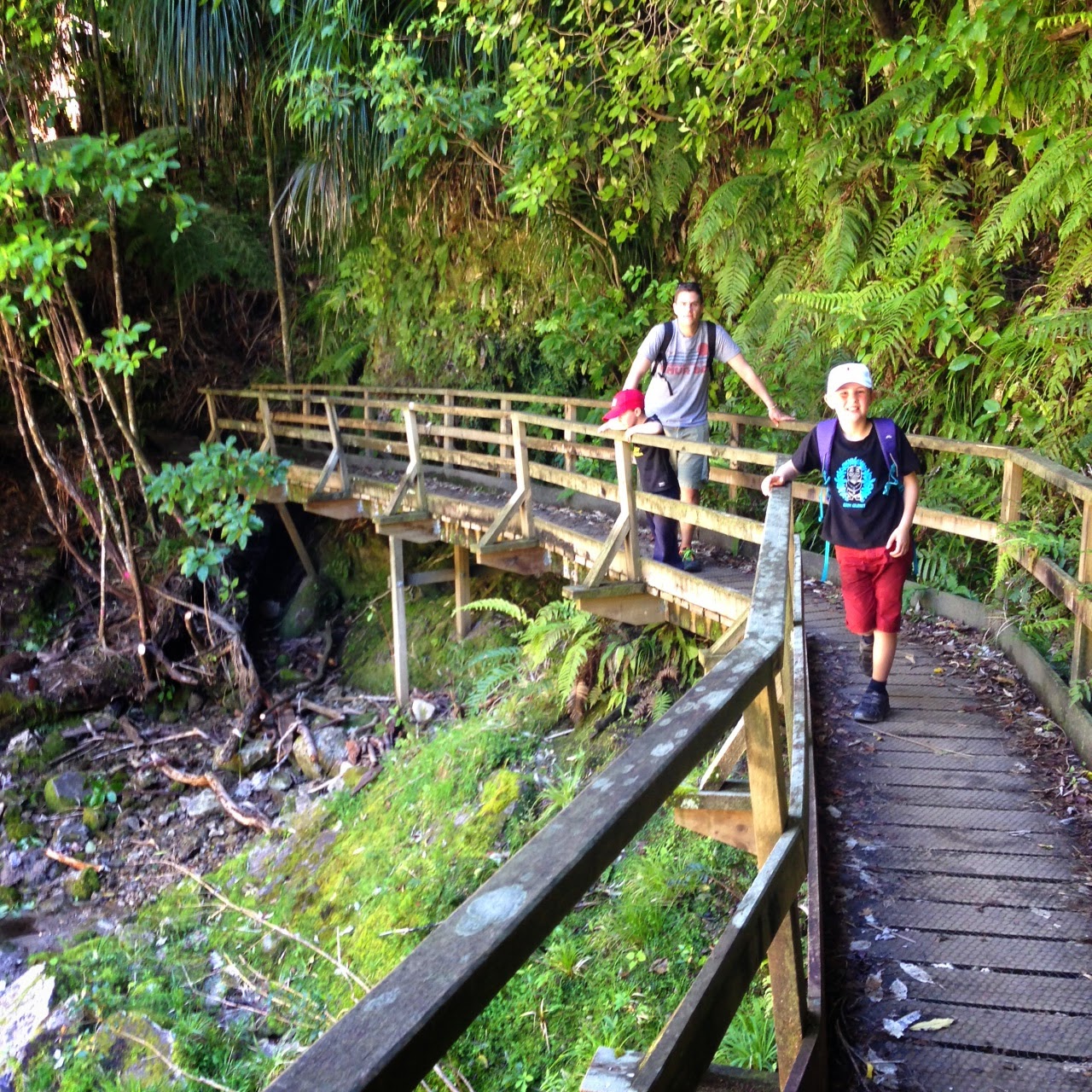 Golden Bay Delights {Pupu Springs, Labryinth Rocks, Dolphins and Wainui ...