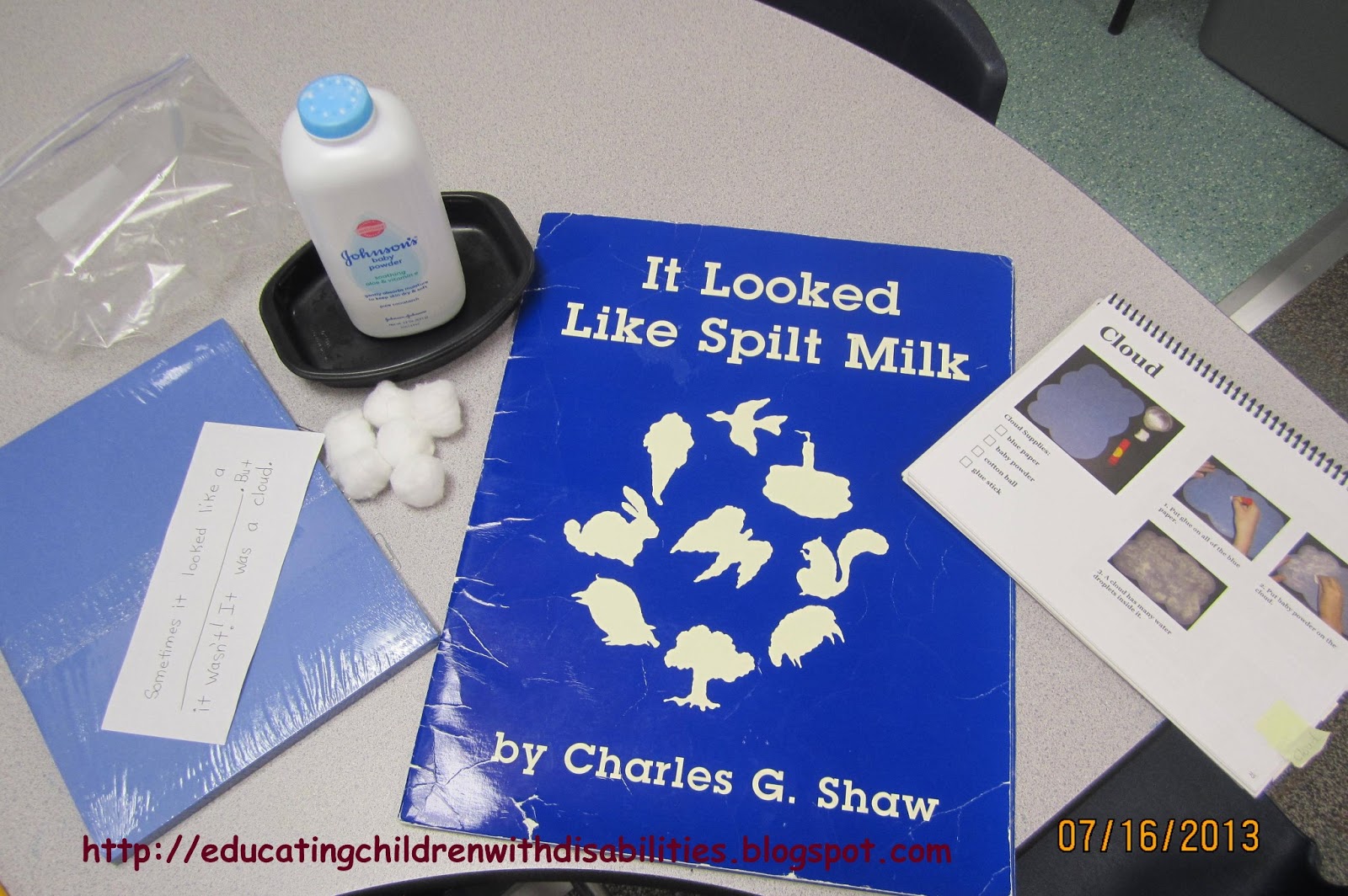 Educating children with disabilities: It looked like Spilt Milk....book ...