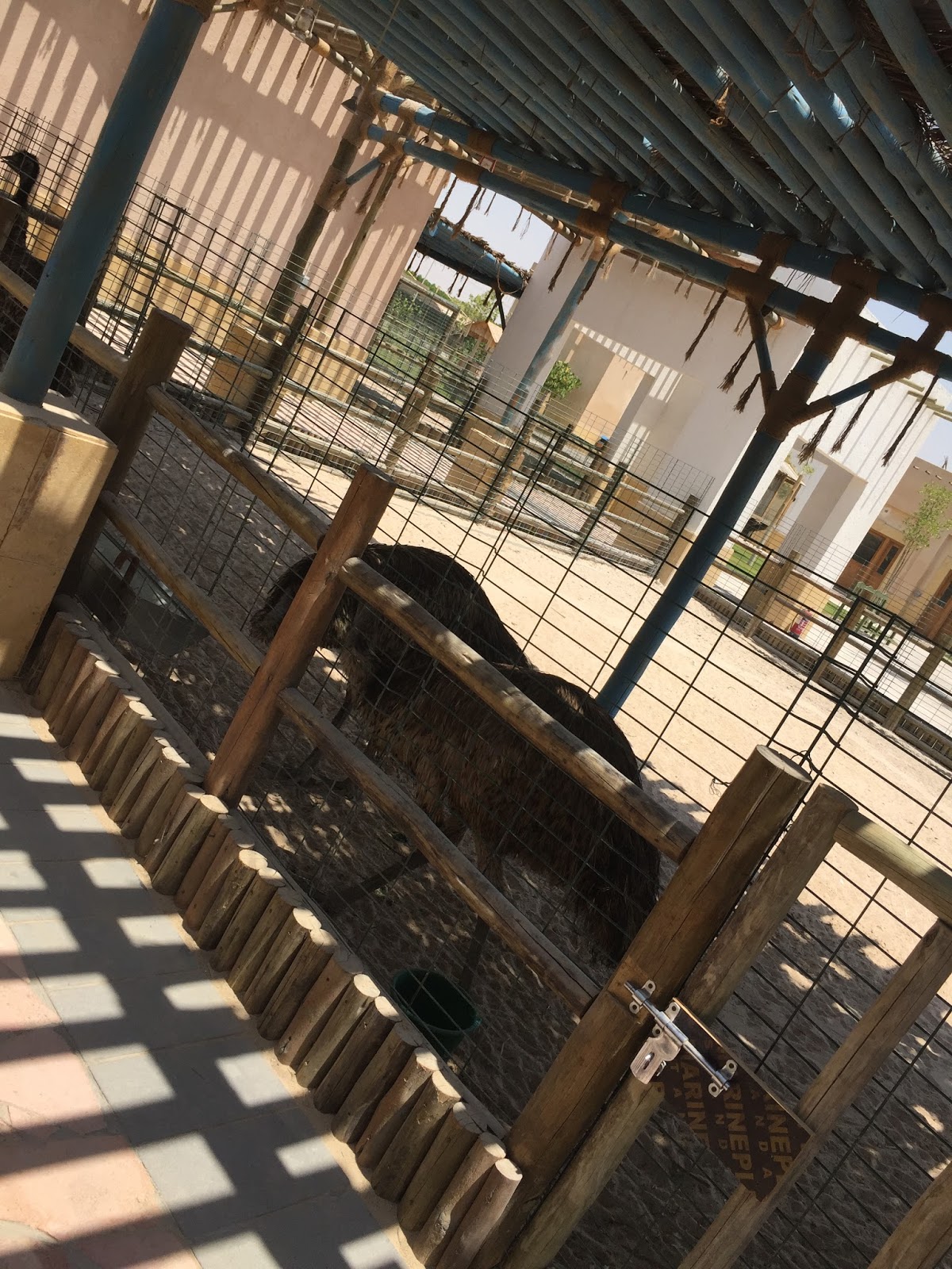 BREAKFAST AT BALADNA FARM RESTAURANT, QATAR