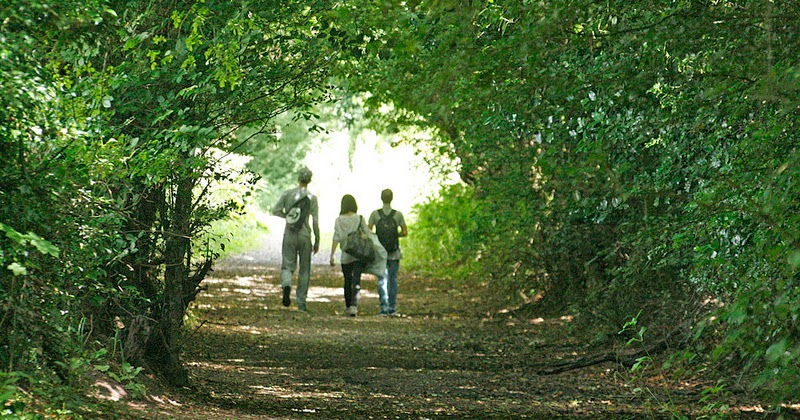 Letters from the Lake District: Cumbrian Lonnings