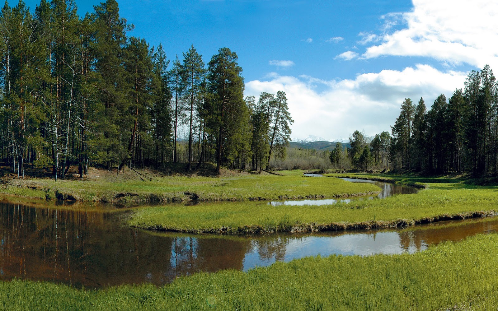 Sibirya HD Manzara Resimleri - Sibirya Ormanları Duvar Kağıtları | Rooteto