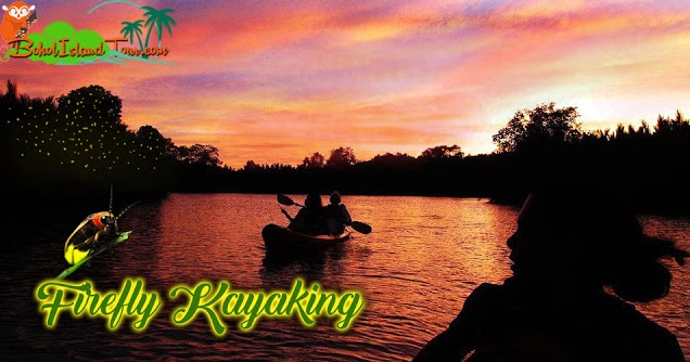 Firefly Watching ~ Bohol Island Tour - WoW Bohol Package Tours and ...