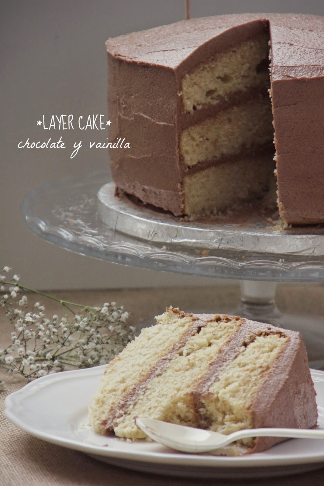 rec & rewind: Mi primer Layer Cake