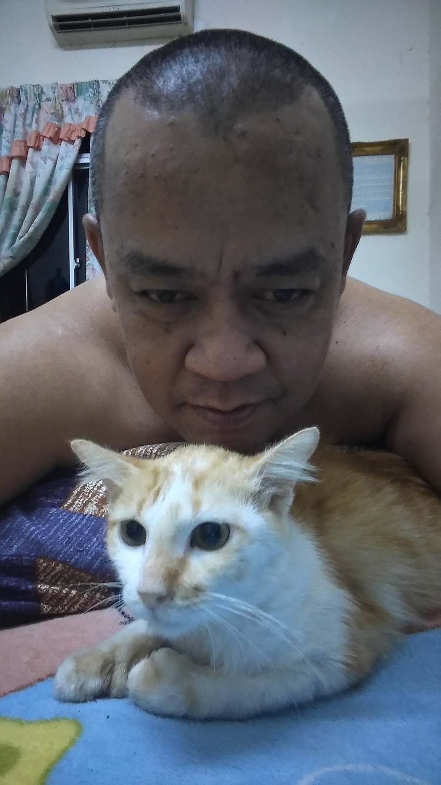 JKCR Cats Rescue ( JamilKucing Cats Rescue ): My Six Fingers Cats