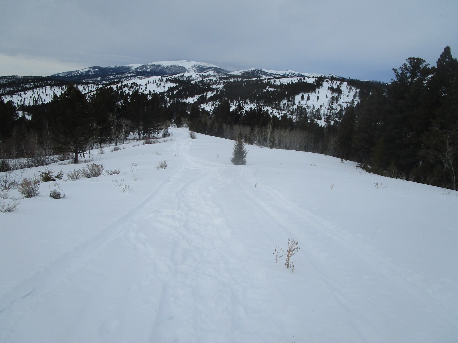Out there with Tom: Yellowstone, Stemple Pass, Skidway ski area