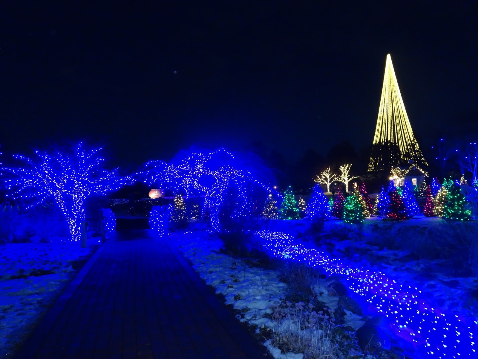 Trying to Stay Calm!: Luminaria Experience The Light Review...