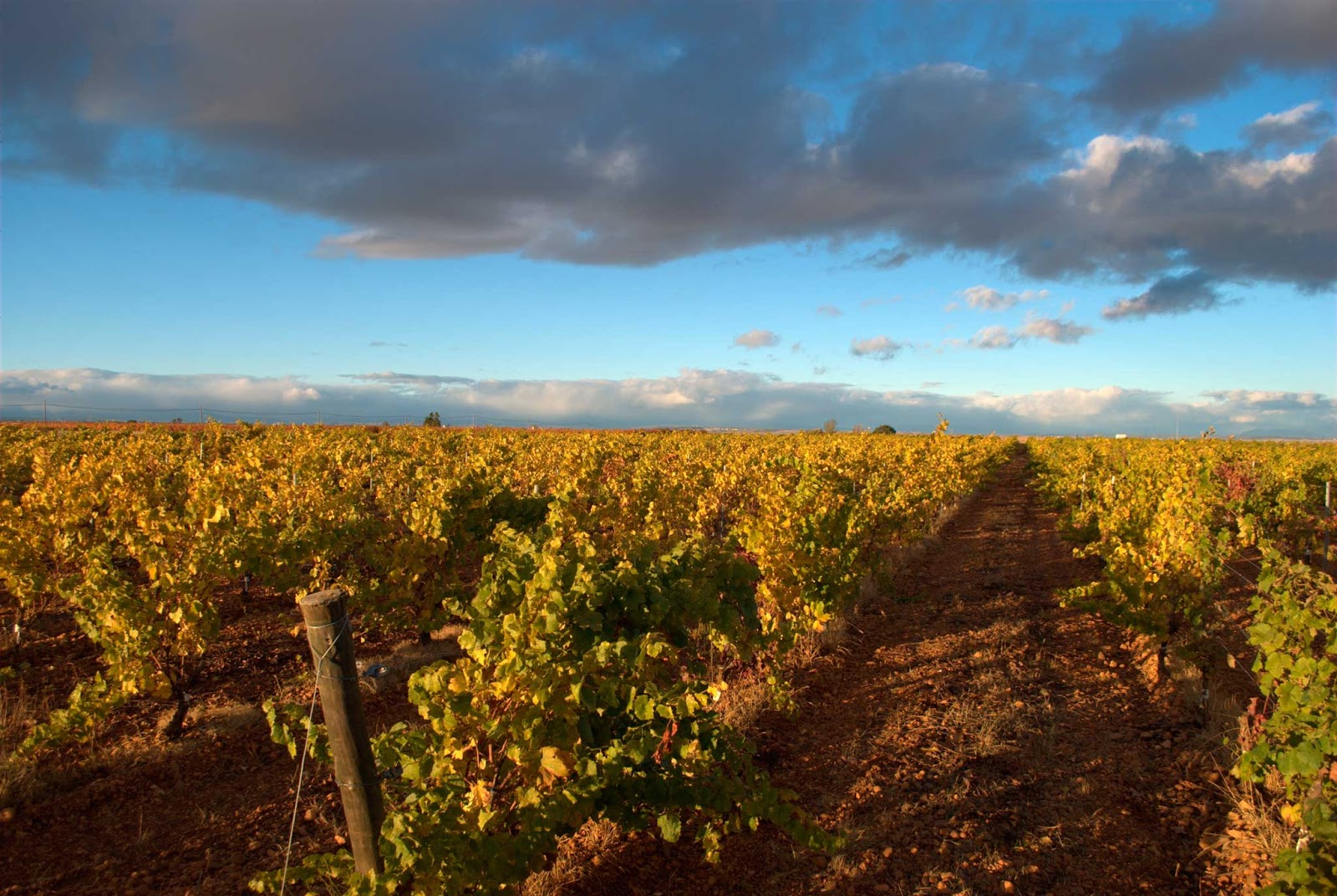 The Most Spectacular Wineries in Spain and a Wine Harvest Festival ...