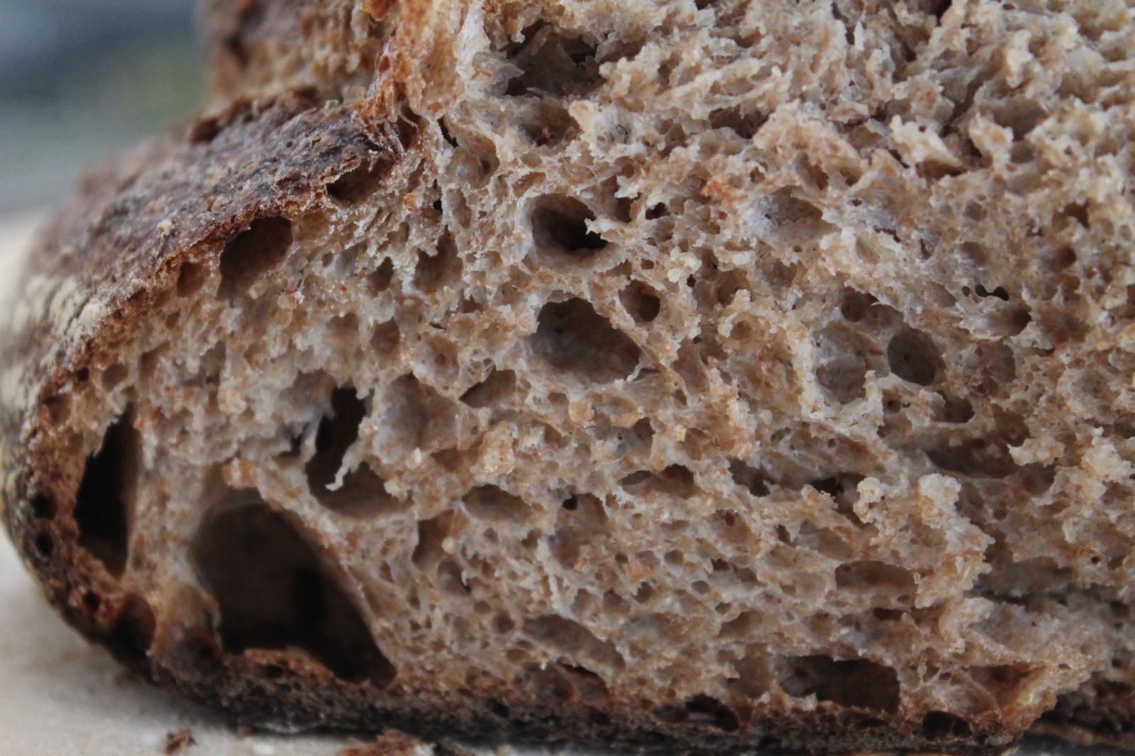 Fragments of Sulpicia (III): The 100% Whole Wheat Project, Part I