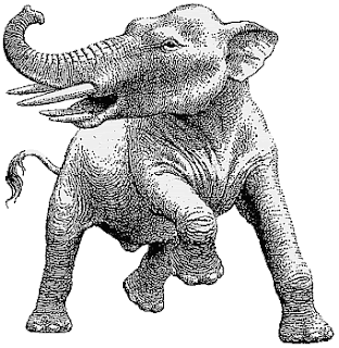 The Book of Barely Imagined Beings: Gomphotheres of the Rambunctious Garden