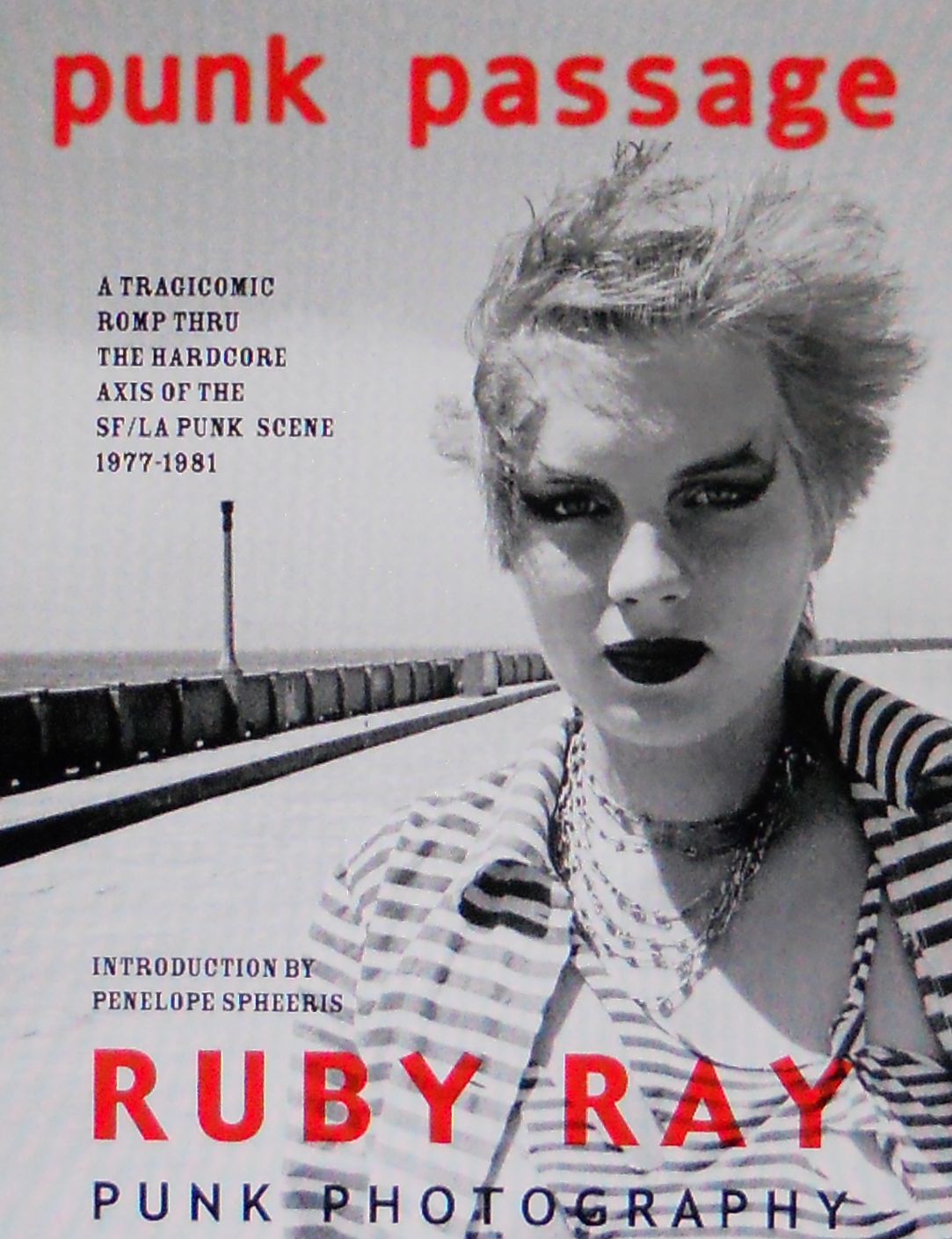 stream of crust: Punk Passage 1977-1981 Photography E-Book